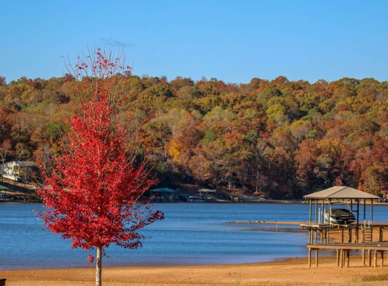 Clear Creek Cove RV Resort